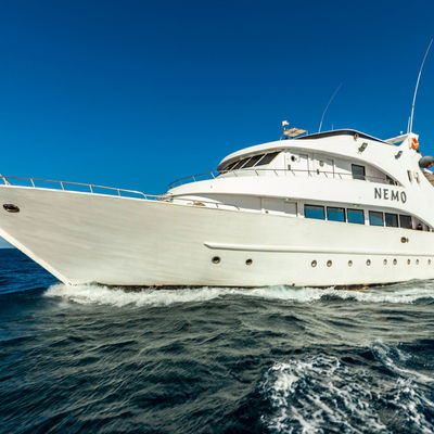 Nemo 리브어보드, 지부티 - LiveAboard.com