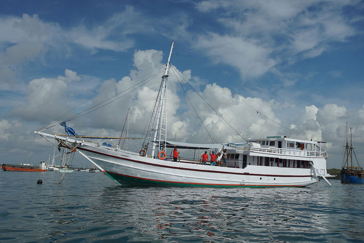 Mega Buana, Indonesia - LiveAboard.com