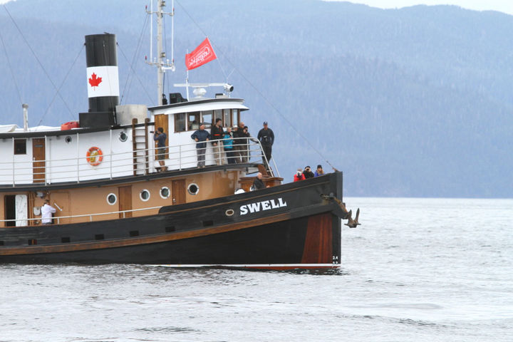 Swell Cruise Ship, Alaska - LiveAboard.com