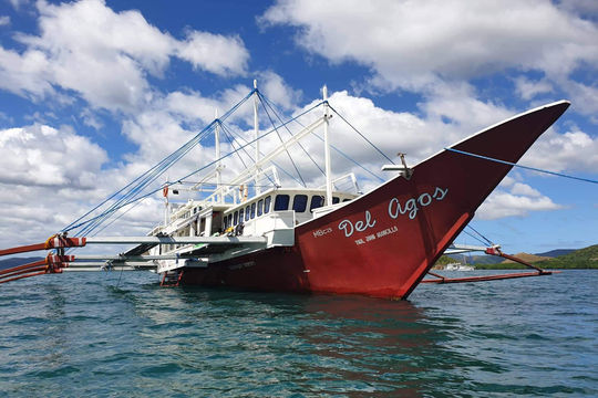 15 Liveaboards in Philippines - LiveAboard.com