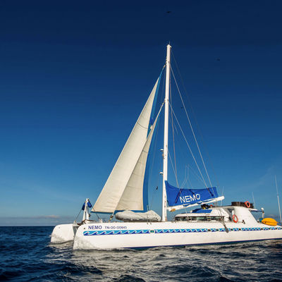 Nemo I Cruise Ship, Galapagos - LiveAboard.com