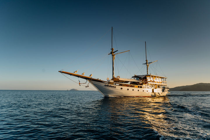 Adishree Liveaboard, Indonesia - LiveAboard.com
