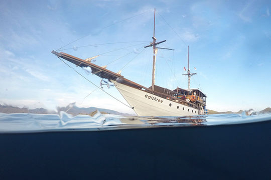 Adishree Liveaboard, Indonesia - LiveAboard.com