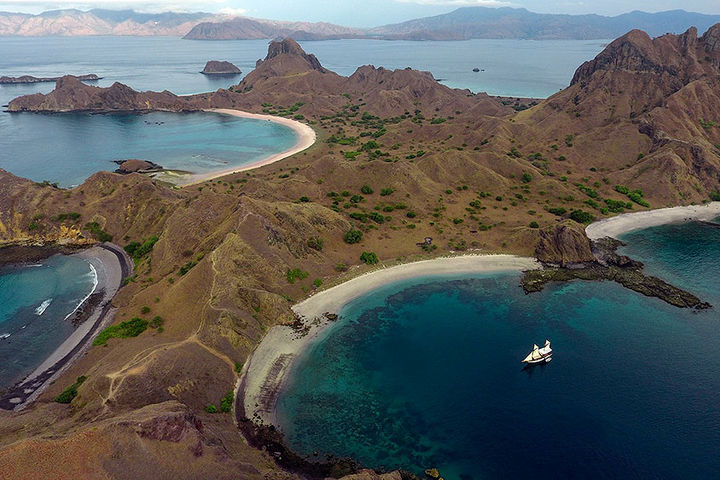 Adishree Liveaboard, Indonesia - LiveAboard.com