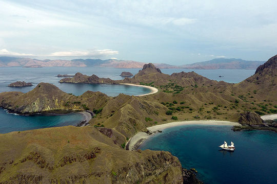 Adishree Liveaboard, Indonesia - LiveAboard.com