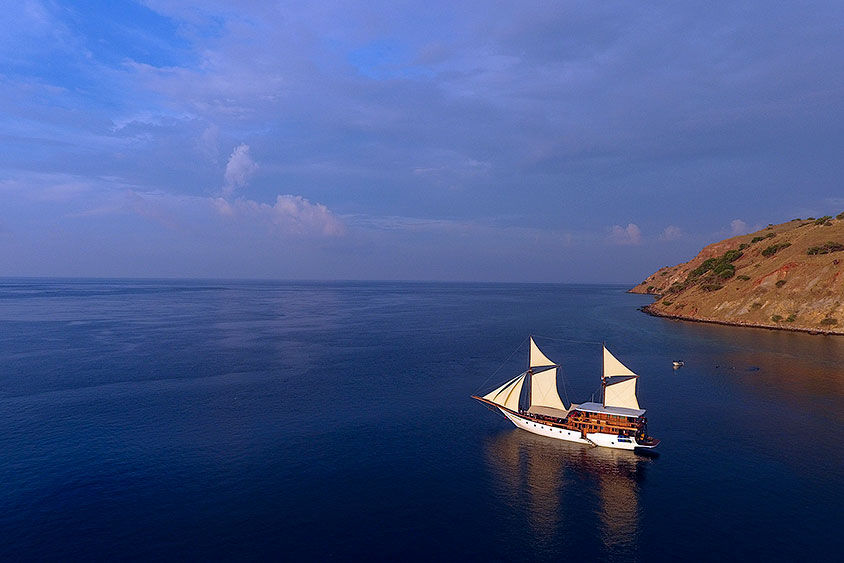 Adishree Liveaboard, Indonesia - LiveAboard.com