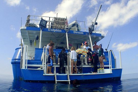 Dolphin Dream Liveaboard, Bahamas - LiveAboard.com