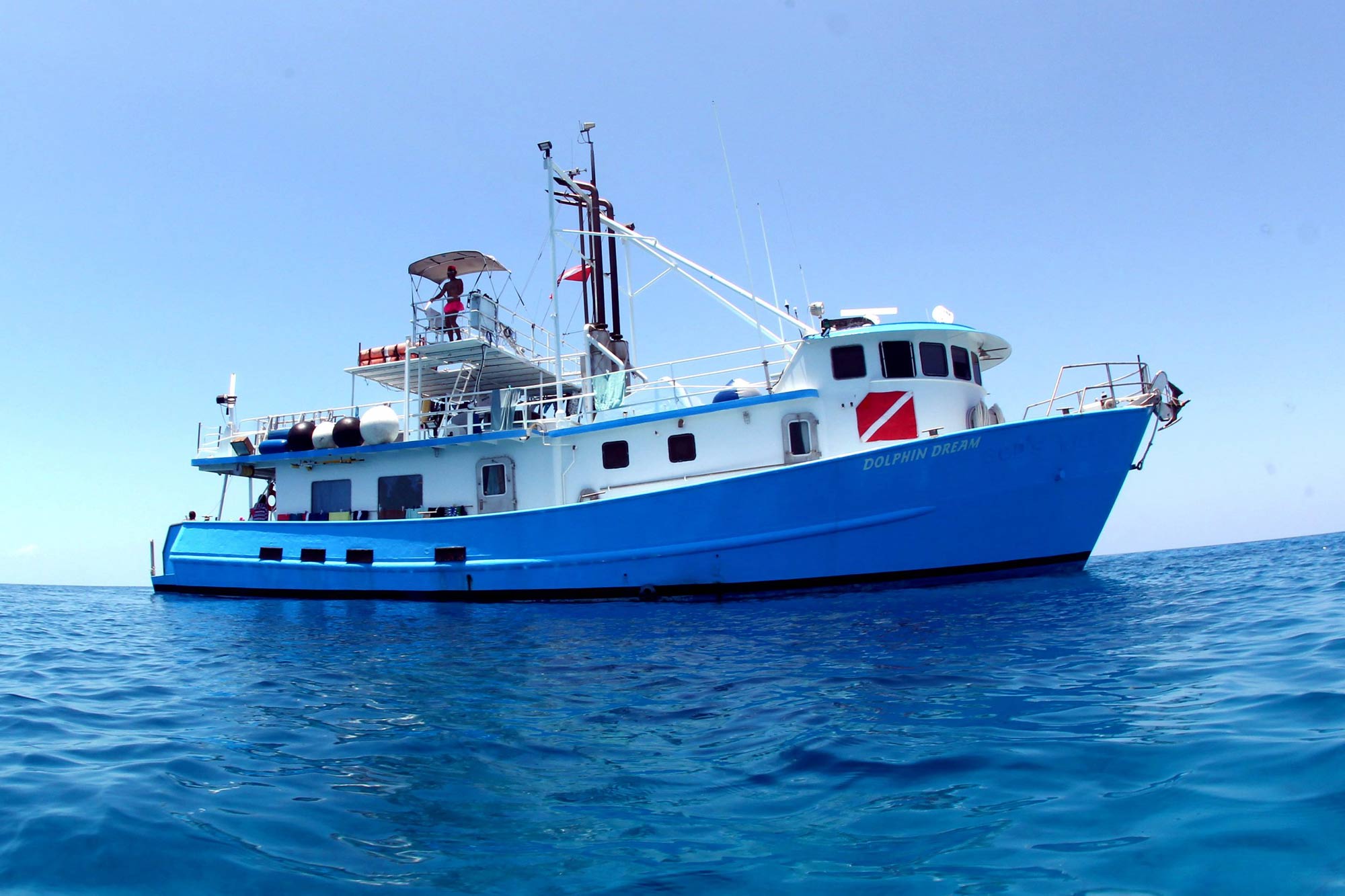 Dolphin Dream Liveaboard, Bahamas - LiveAboard.com