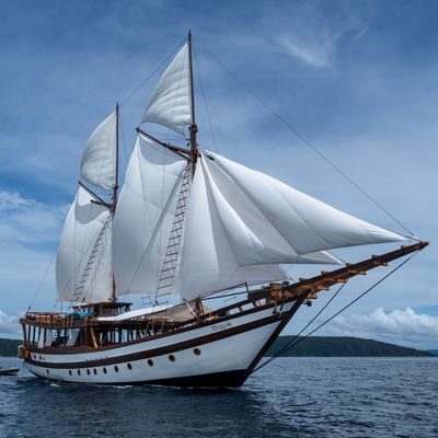 Majik Liveaboard, Indonesia - LiveAboard.com