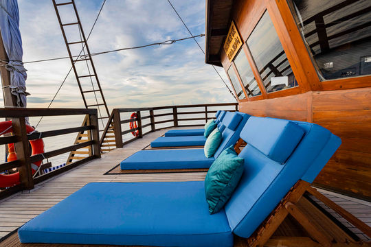 Neptune One Liveaboard, Indonesia - LiveAboard.com