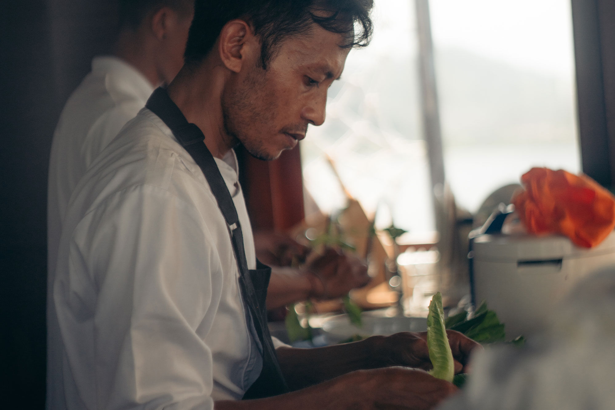 Ikan Kayu - LiveAboard.com