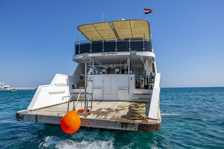 Sea Dragon Liveaboard, Egypt - LiveAboard.com