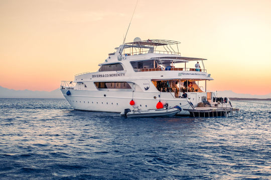 Serenity Liveaboard, Egypt - LiveAboard.com