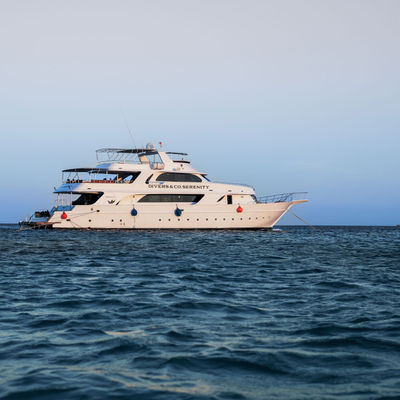 Serenity Liveaboard, Egypt - LiveAboard.com
