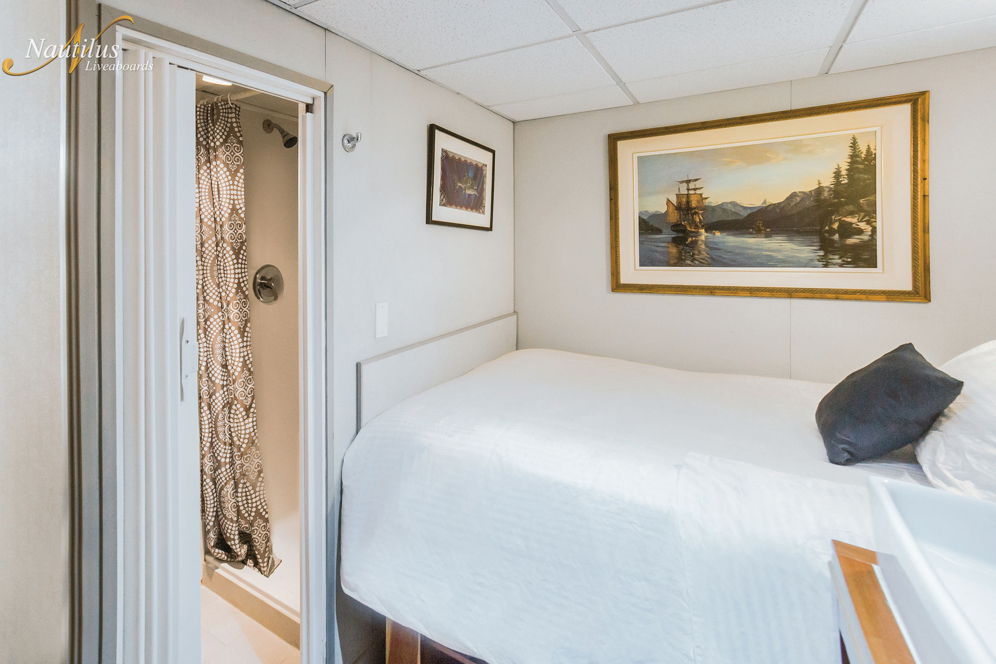 Nautilus Explorer Liveaboard, Costa Rica - LiveAboard.com