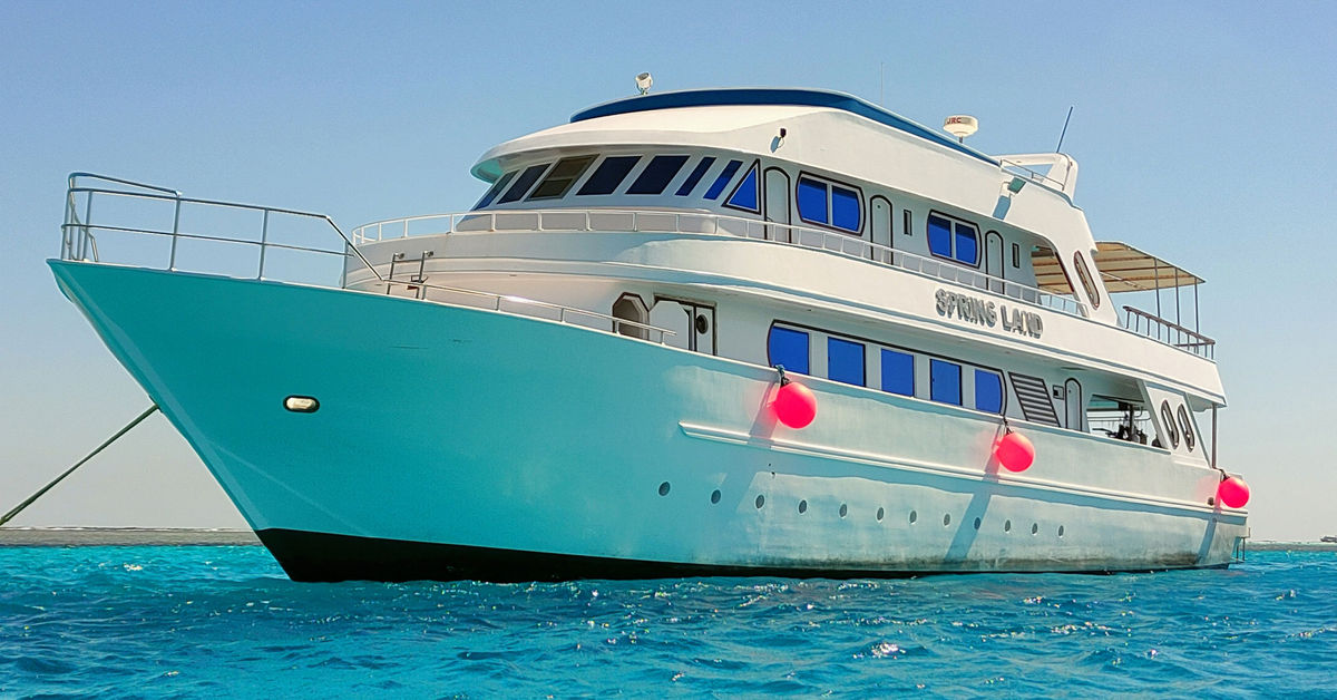 Springland Liveaboard, Egypt - LiveAboard.com