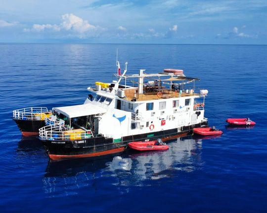 14 Liveaboards in Philippines - LiveAboard.com