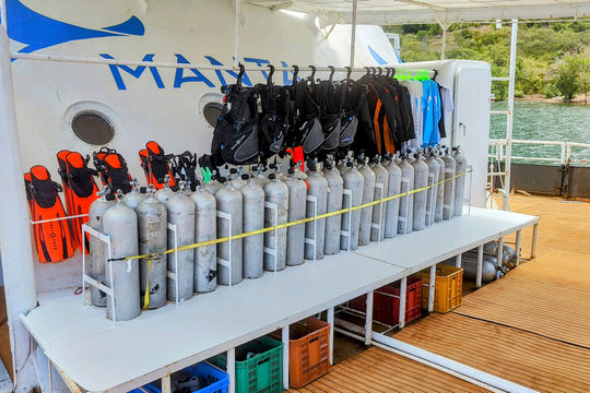 Navis 1 Liveaboard, Philippines - LiveAboard.com