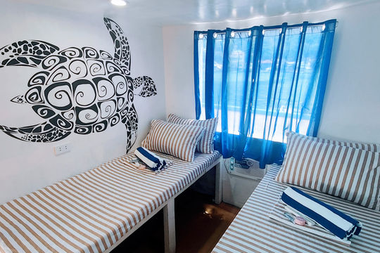 Navis 1 Liveaboard, Philippines - LiveAboard.com