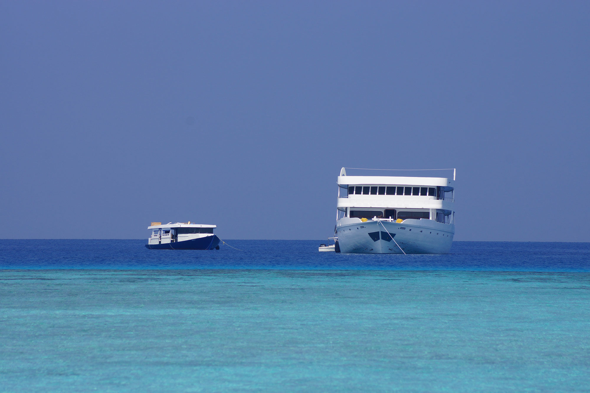 Ocean One Liveaboard, Maldives - LiveAboard.com