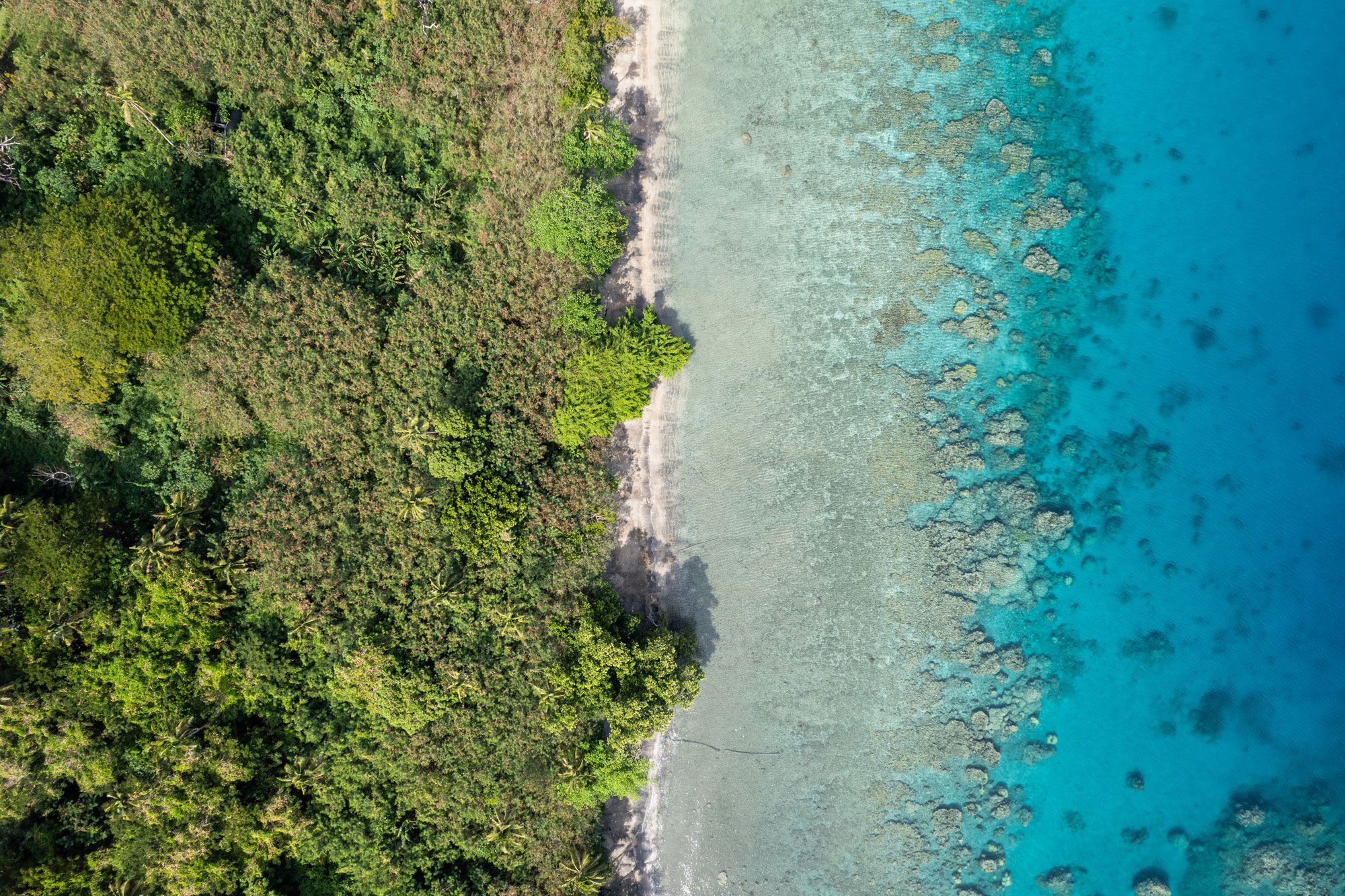 Caledonian Sky Cruise Ship, Fiji - LiveAboard.com