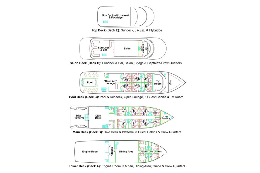 All Star Red Sea Liveaboard, Egypt - LiveAboard.com