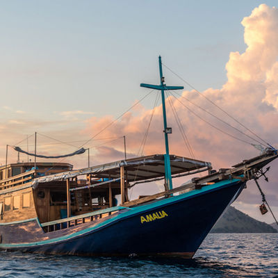 Amalia Komodo Liveaboard, Indonesia - LiveAboard.com