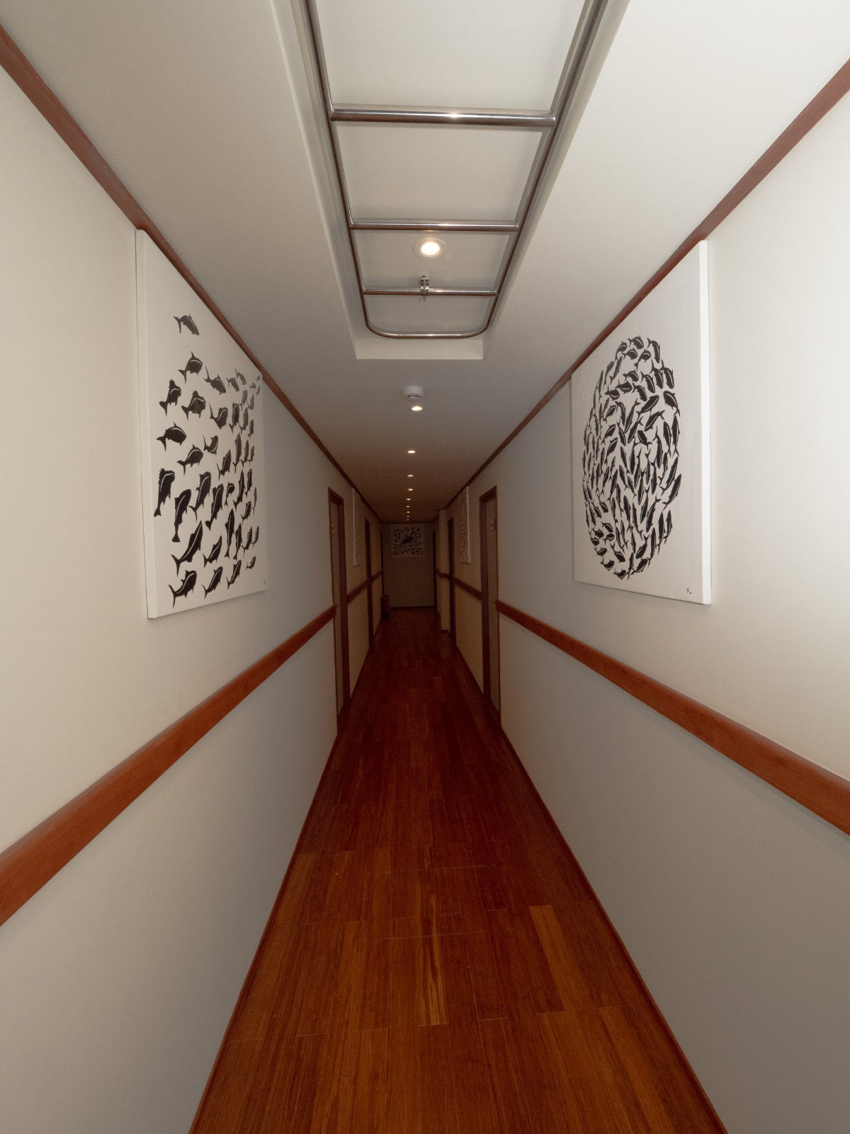 EcoPro Seascape Liveaboard, Maldives - LiveAboard.com