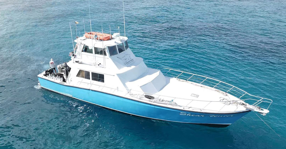 Shear Water Liveaboard, Bahamas - LiveAboard.com